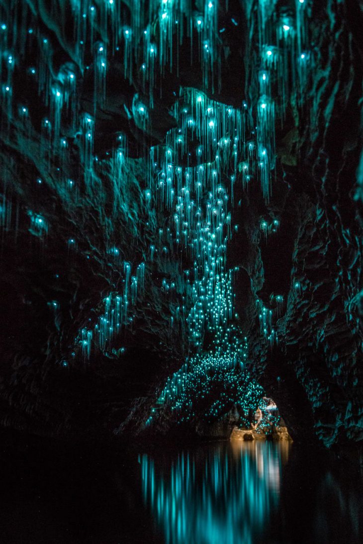 Les grottes de Waitomo s'illumine grâce à des insectes
