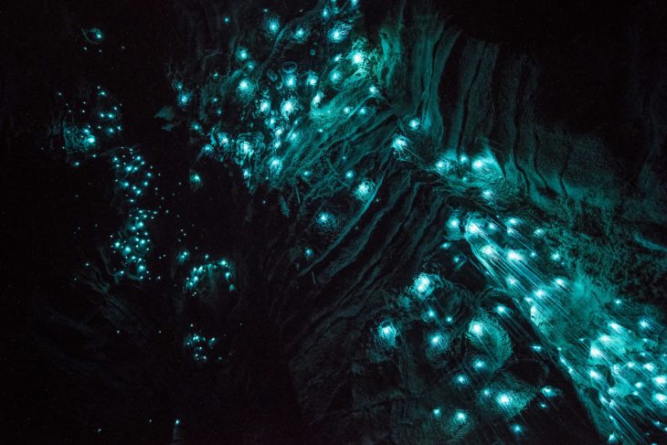 Les grottes de Waitomo s'illumine grâce à des insectes