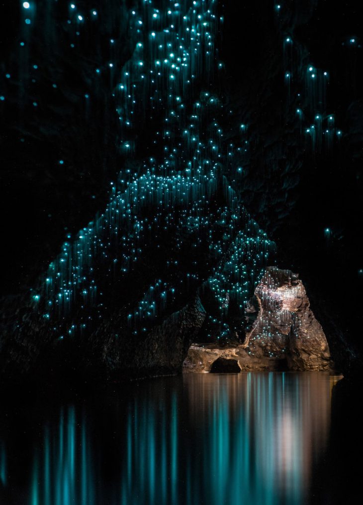 Les grottes de Waitomo s'illumine grâce à des insectes