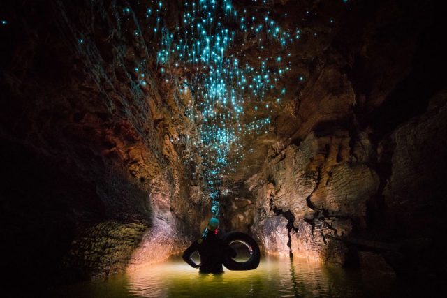 Les grottes de Waitomo s'illumine grâce à des insectes